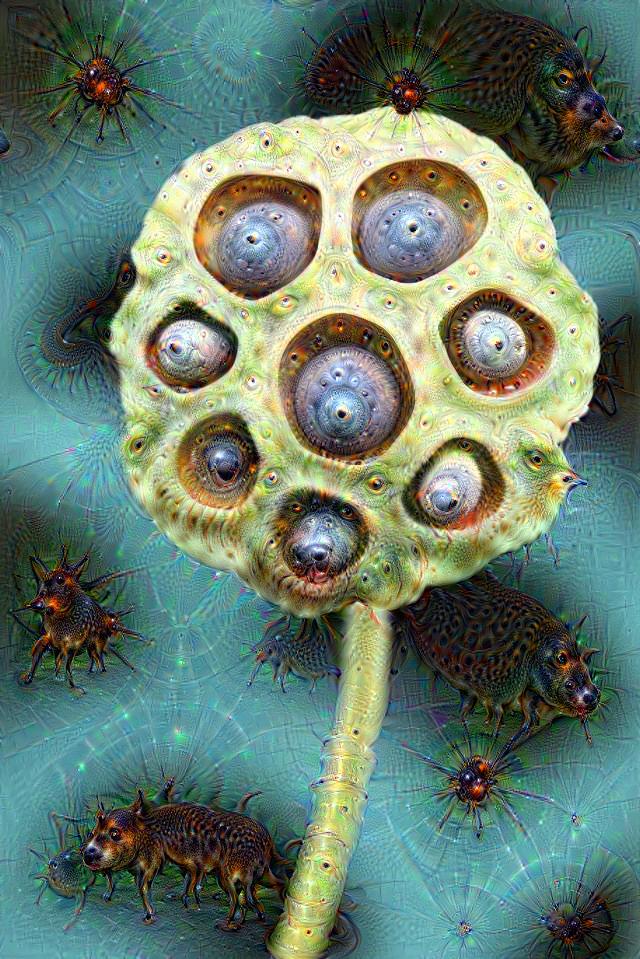 Eyes of The Lotus Pod | Petronius Jablonski